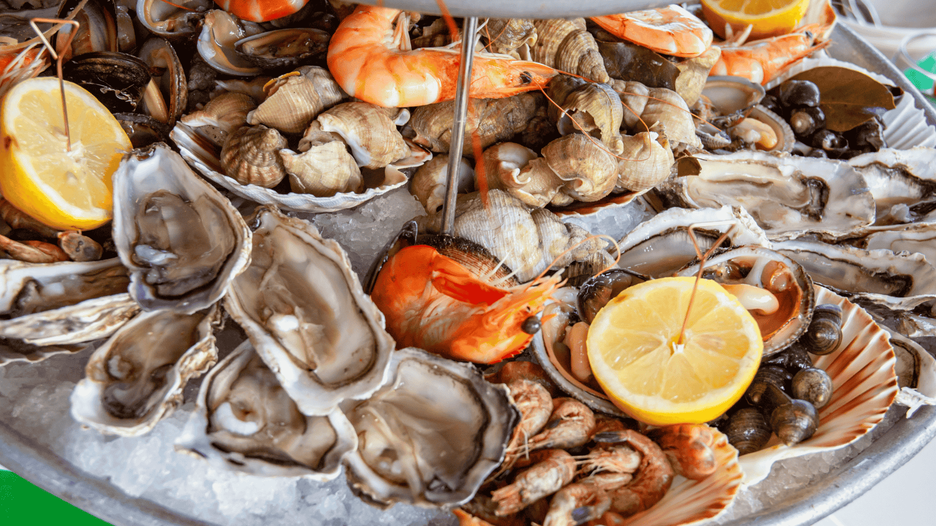 Allergie aux fruits de mer : symptômes, diagnostic, traitement – alrj.fr